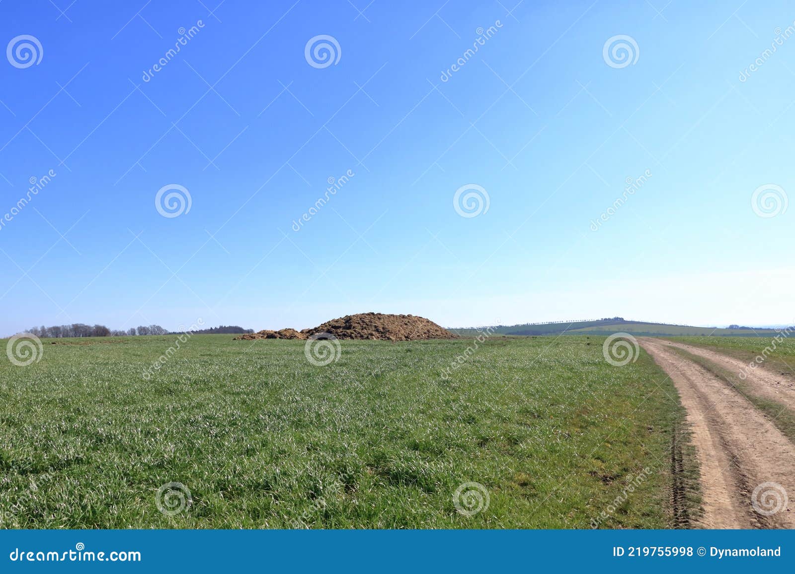 Natural dunghill on a land stock photo. Image of fecal - 219755998