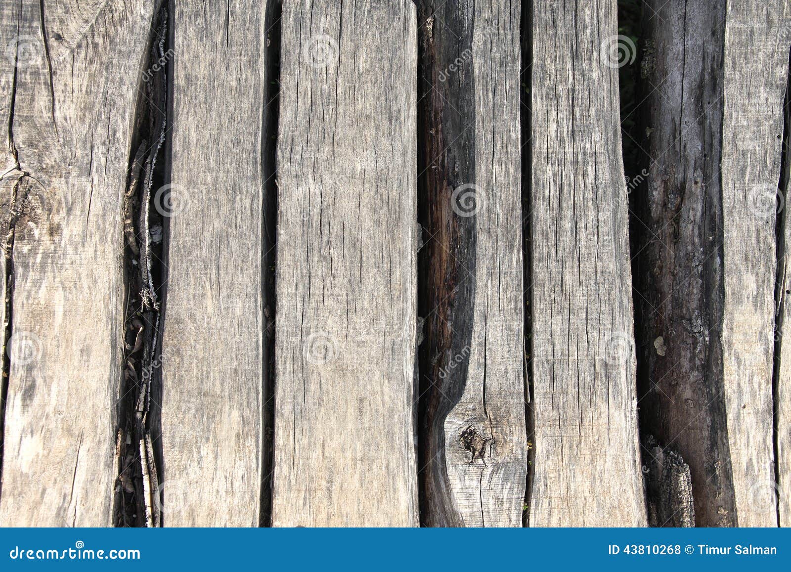Natural eco texture stock photo. Image of cracks, tree - 43810268