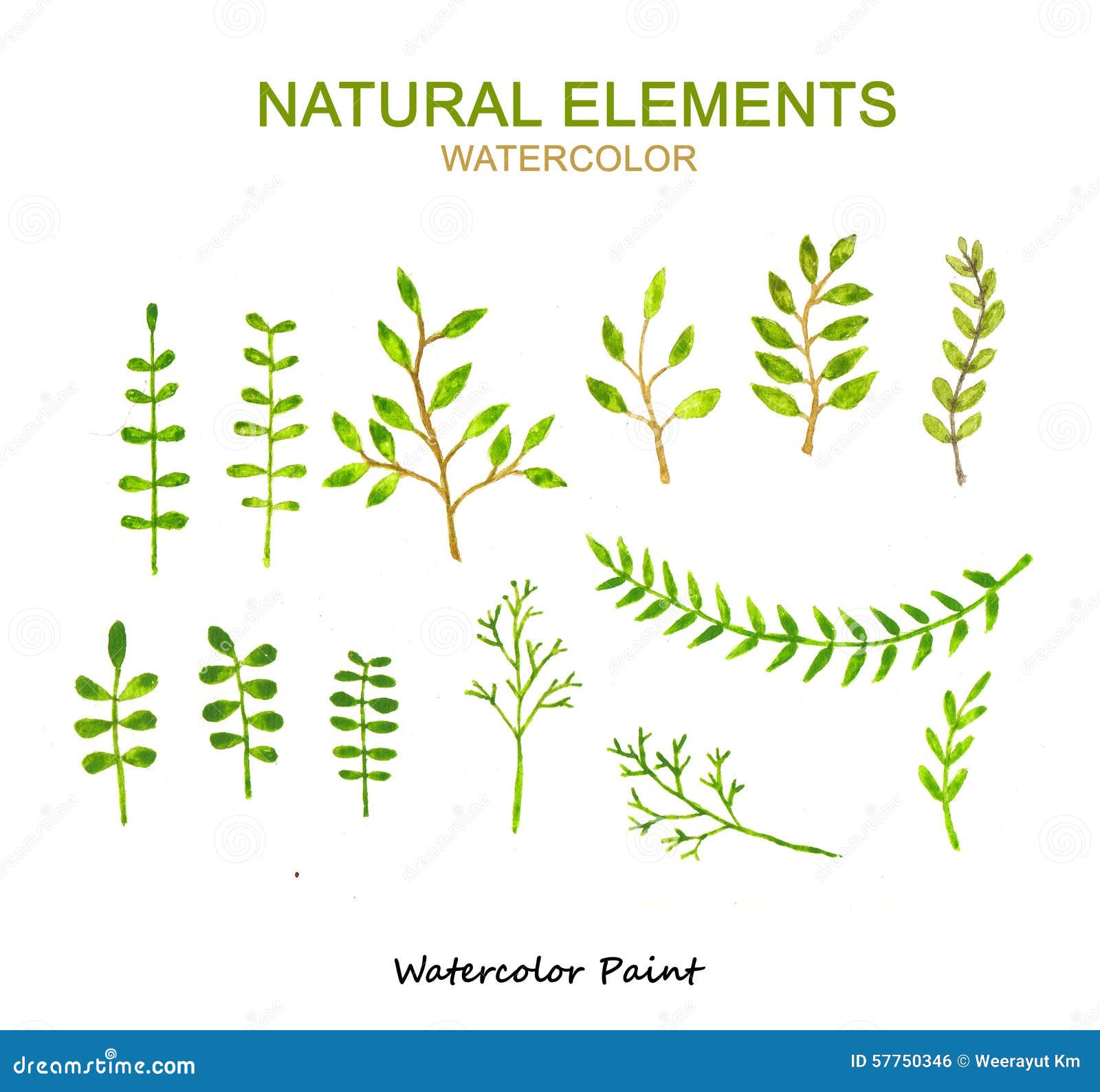 Natural Elements, Watercolor Paint High Resolution Stock Illustration ...