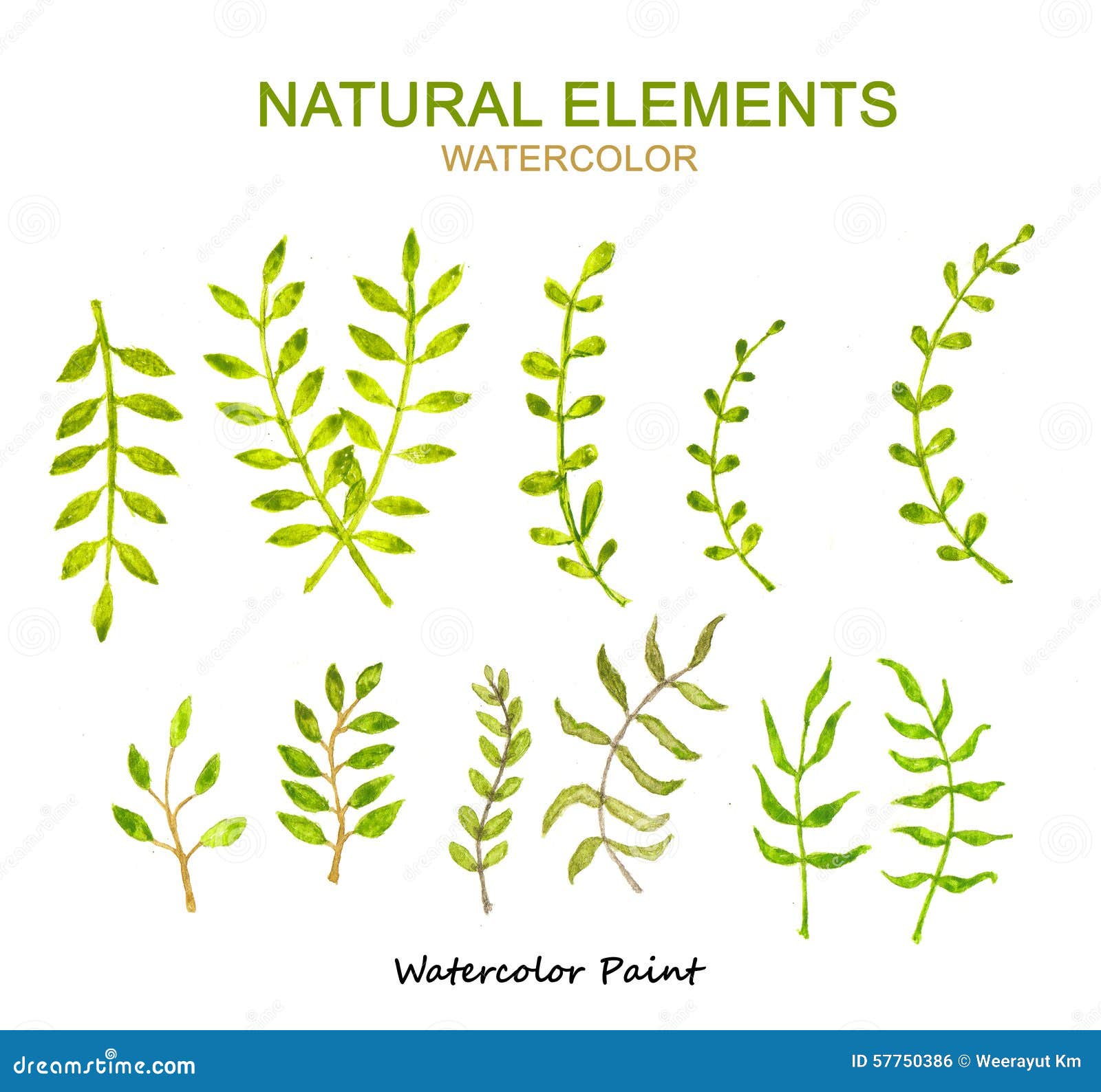 Natural Elements, Watercolor Paint High Resolution Stock Illustration ...
