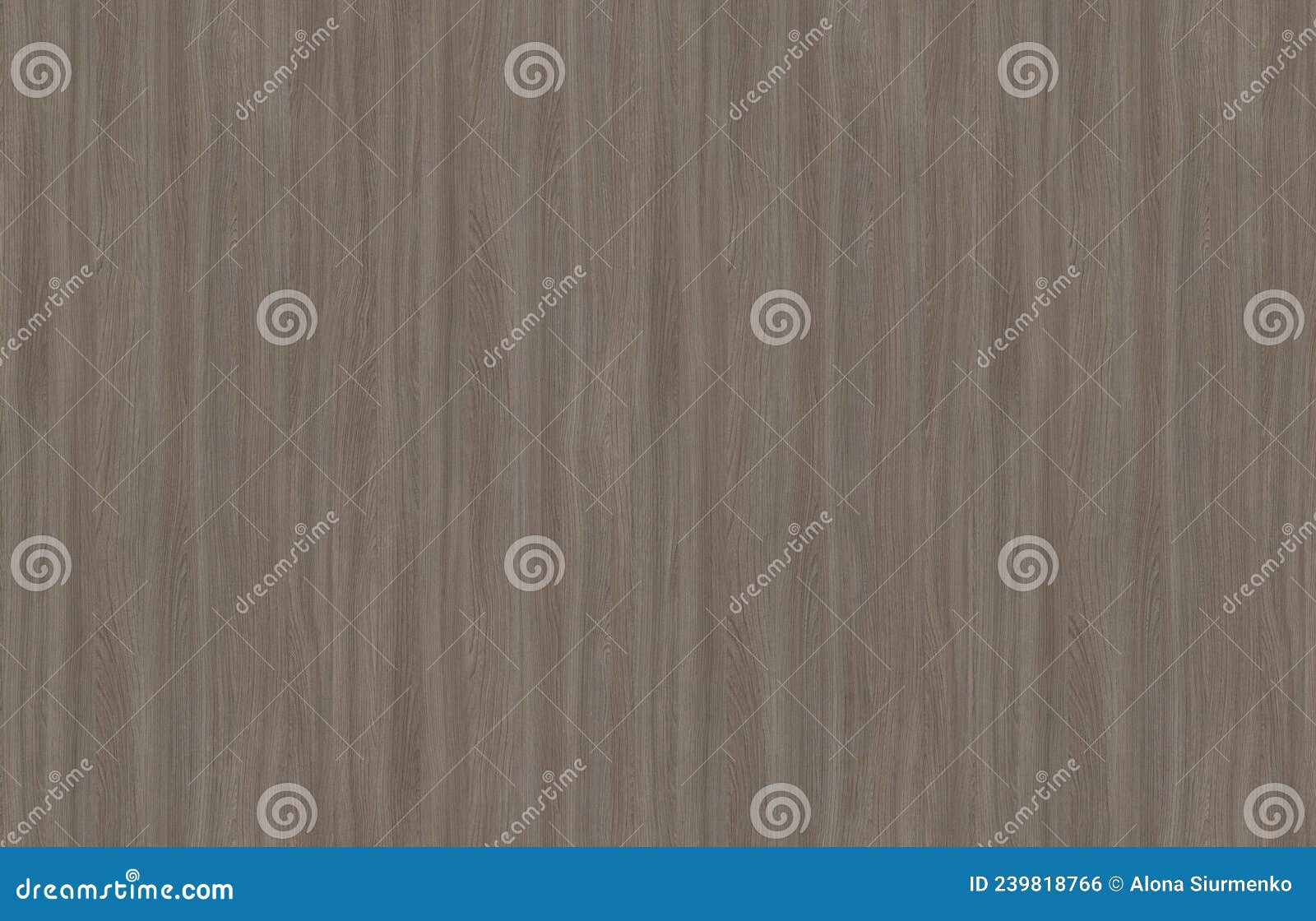 Natural Elm Wooden Seamless Texture Stock Photo - Image of panel ...