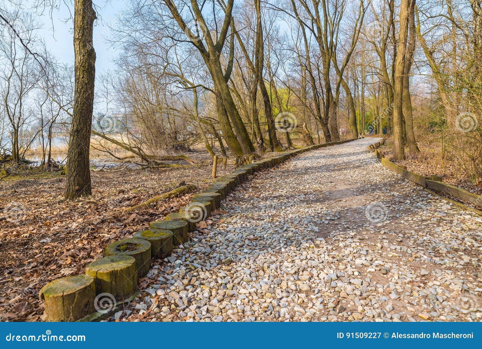 Natural Engineering - Soil Bioengineering. Example of Protection of a ...