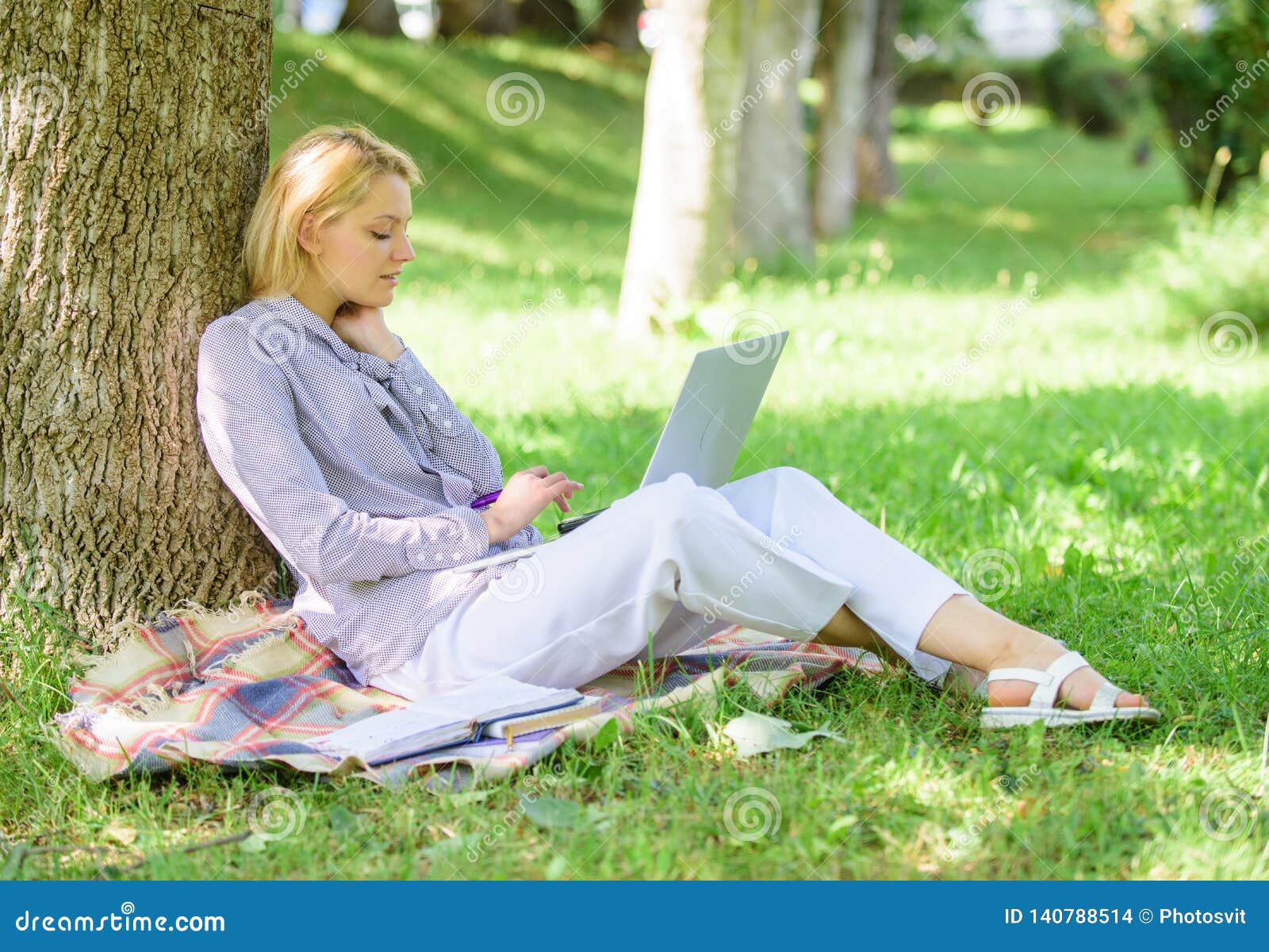 Natural Environment Office. Work Outdoors Benefits Stock Photo - Image ...