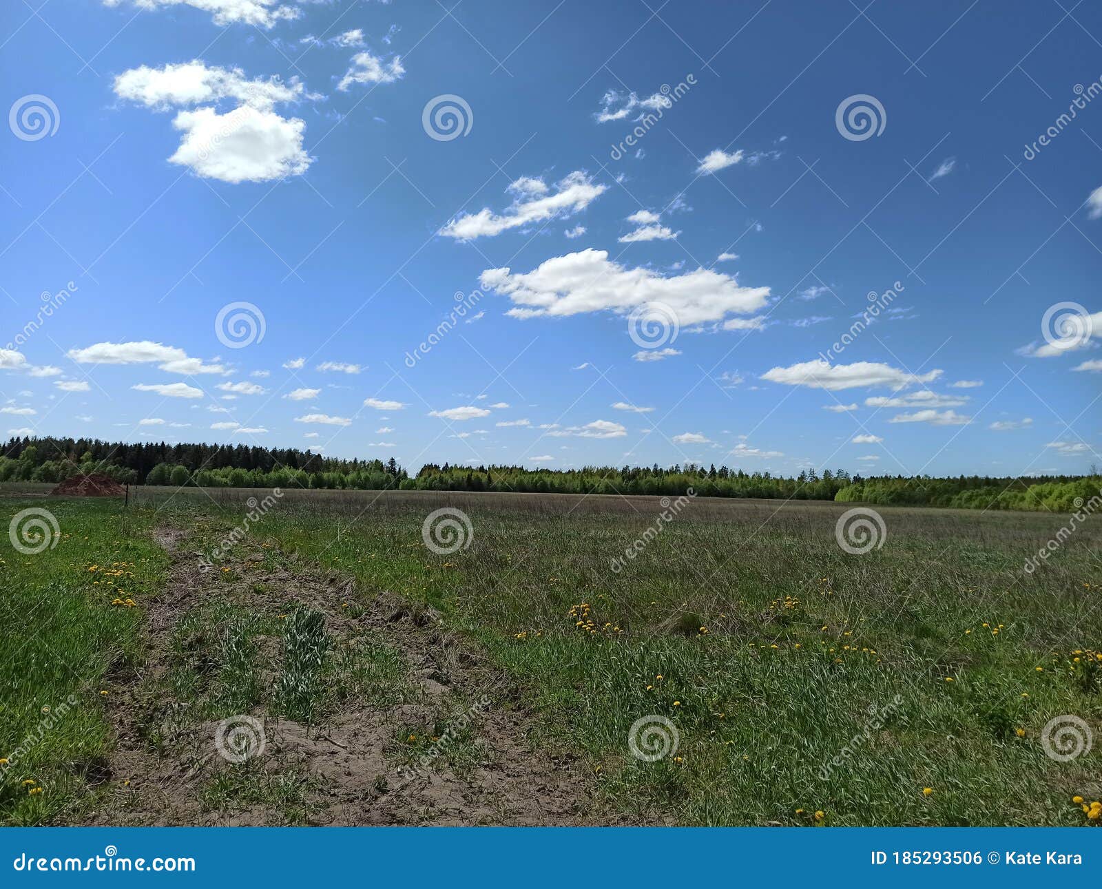 Natural Eternity and Infinity in the Open Field Stock Photo - Image of ...