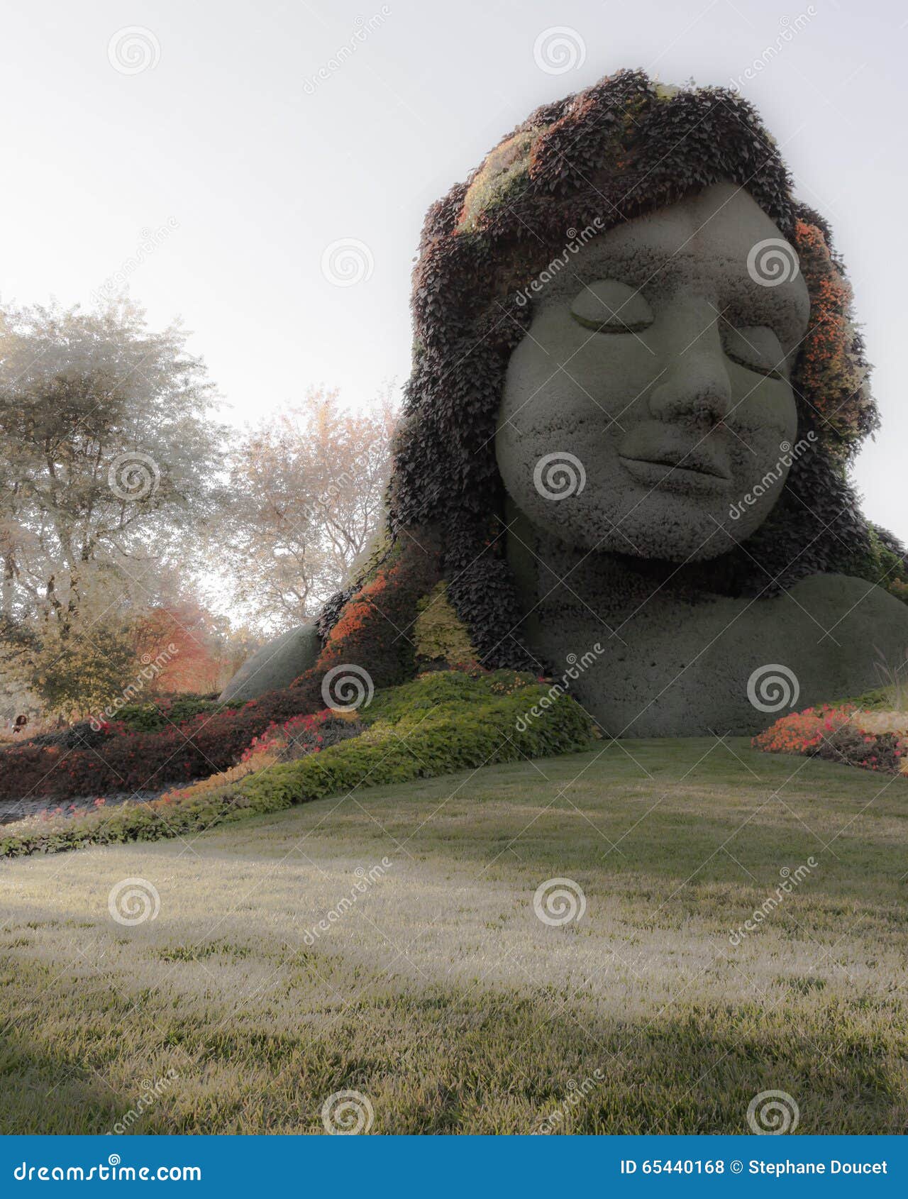 Natural Expression stock photo. Image of head, expression - 65440168