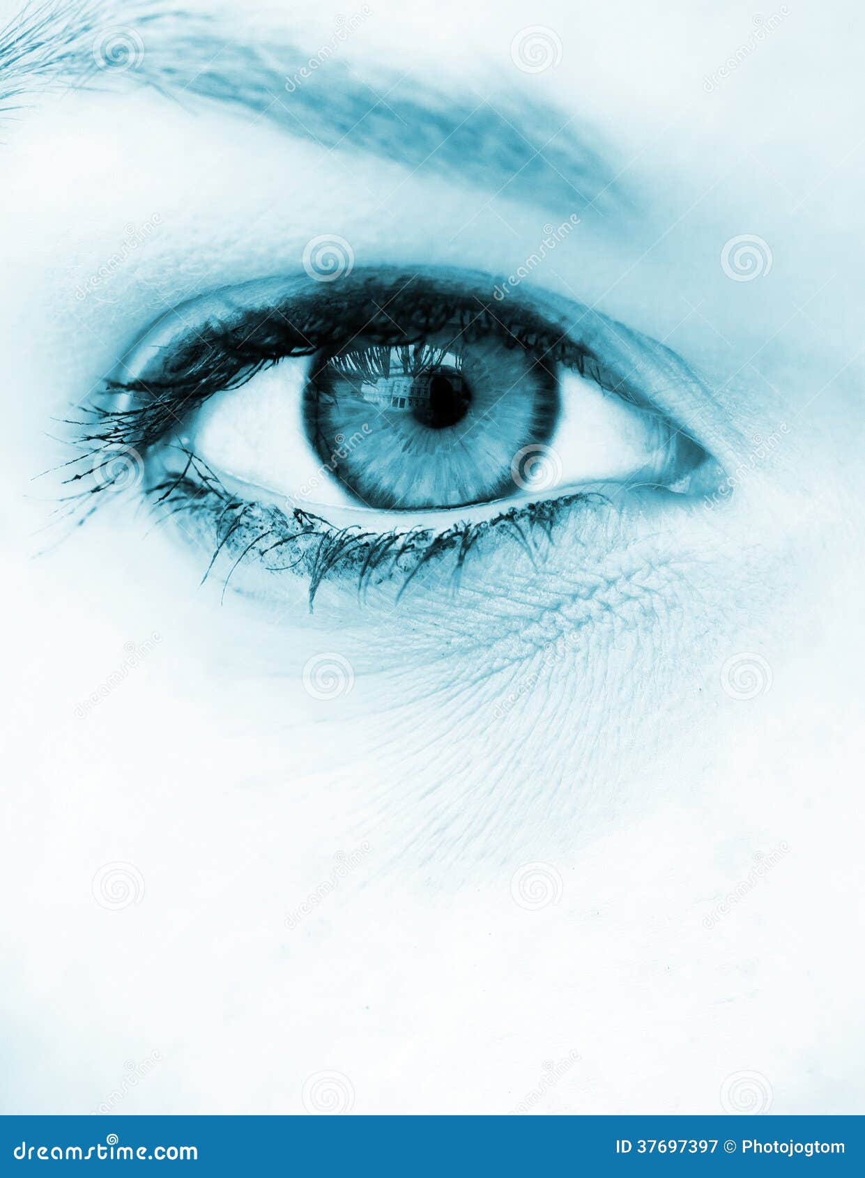 Natural eyes stock image. Image of beauty, background - 37697397