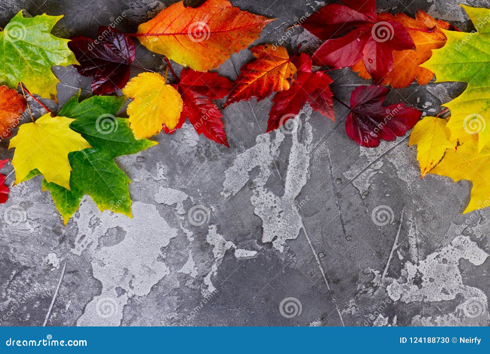 Natural fall leaves stock photo. Image of closeup, copy - 124188730