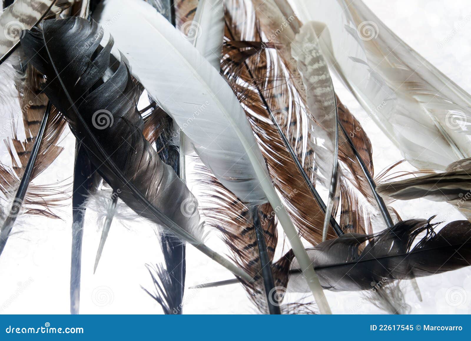 Natural feathers stock image. Image of abstract, objects - 22617545