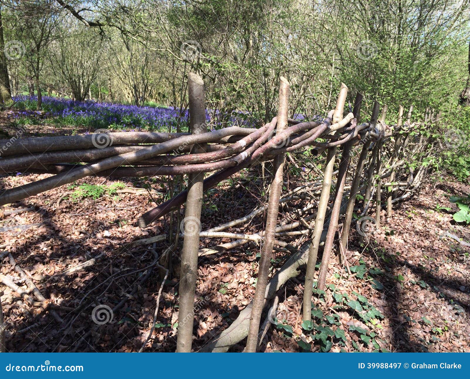 Natural Fence stock image. Image of entwined, craftsmanship - 39988497