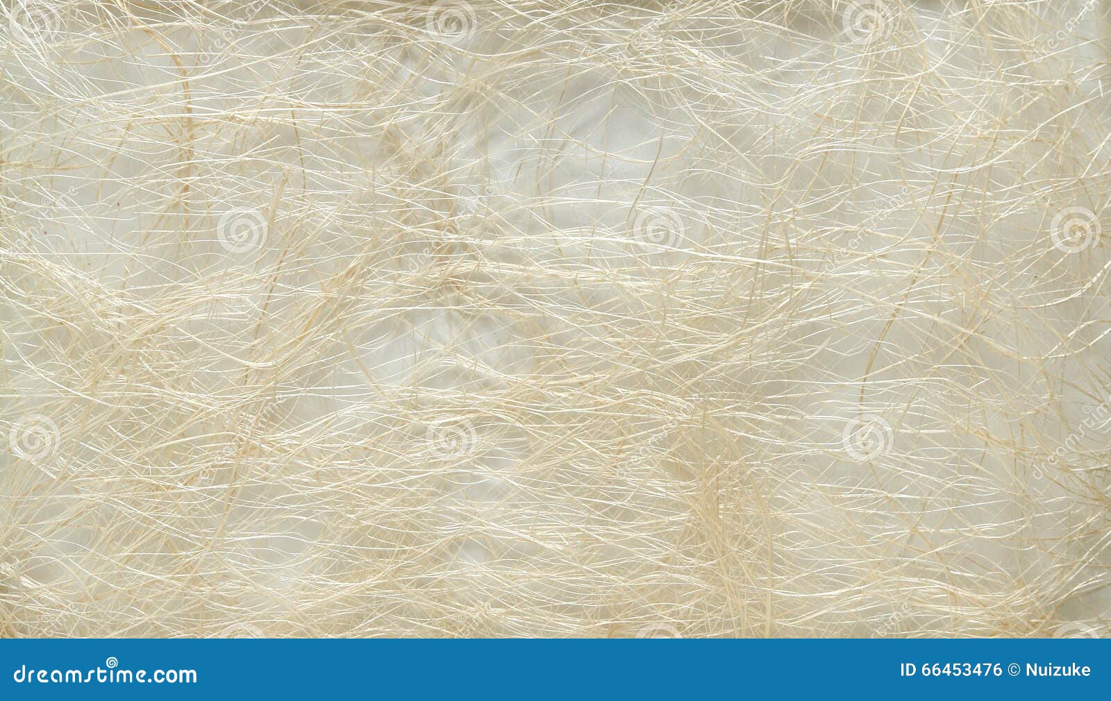 Natural Fiber Texture Stock Photography | CartoonDealer.com #66453476