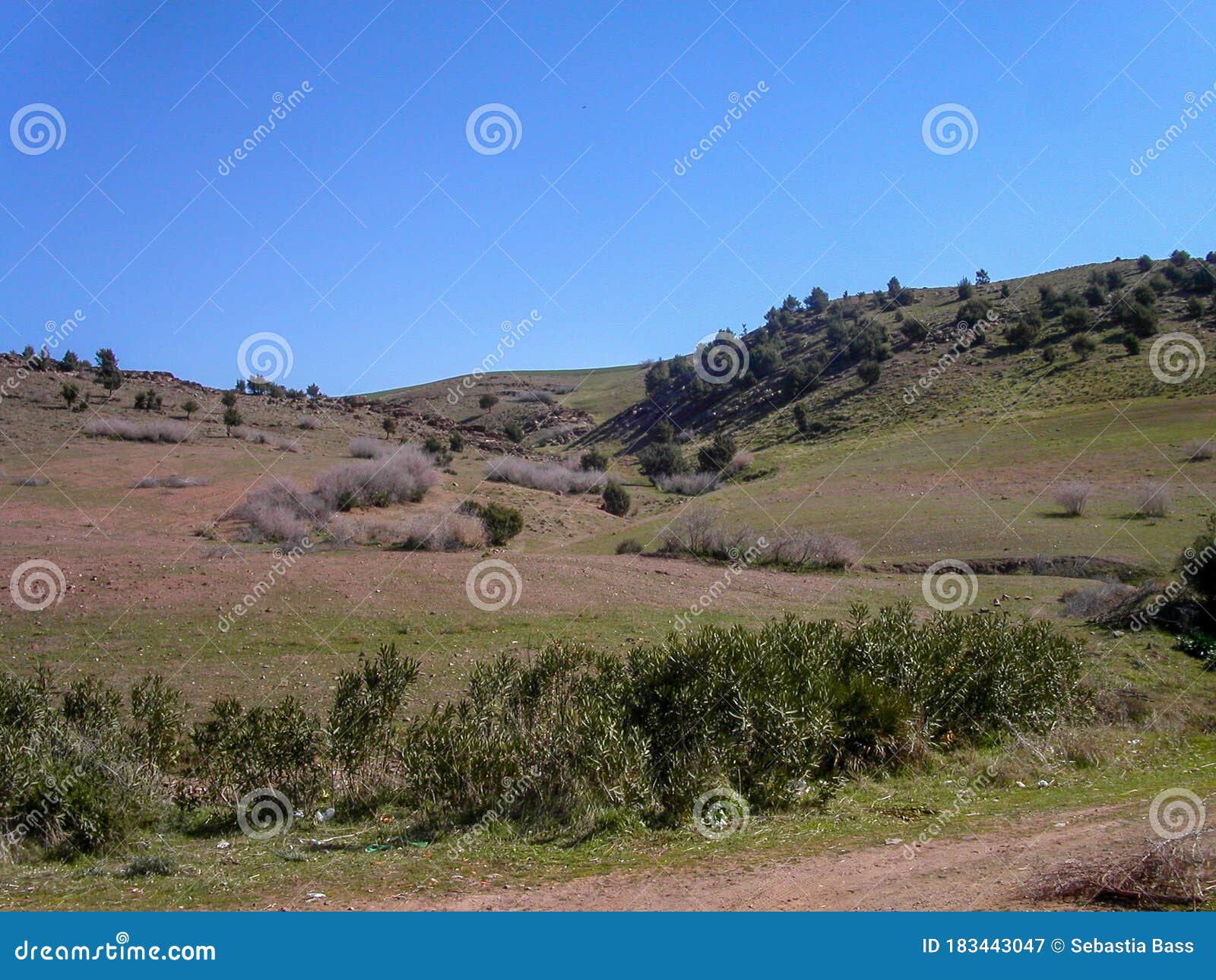 Natural Field View without Humans. Nature Stock Image - Image of rural ...