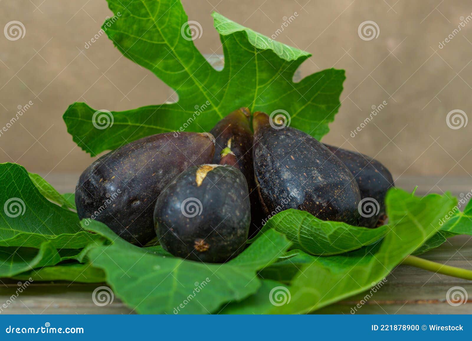 Organic Breba Picked from the Tree Stock Photo - Image of fruit, food ...