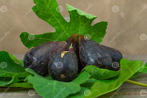 Organic Breba Picked from the Tree Stock Photo - Image of fruit, food ...