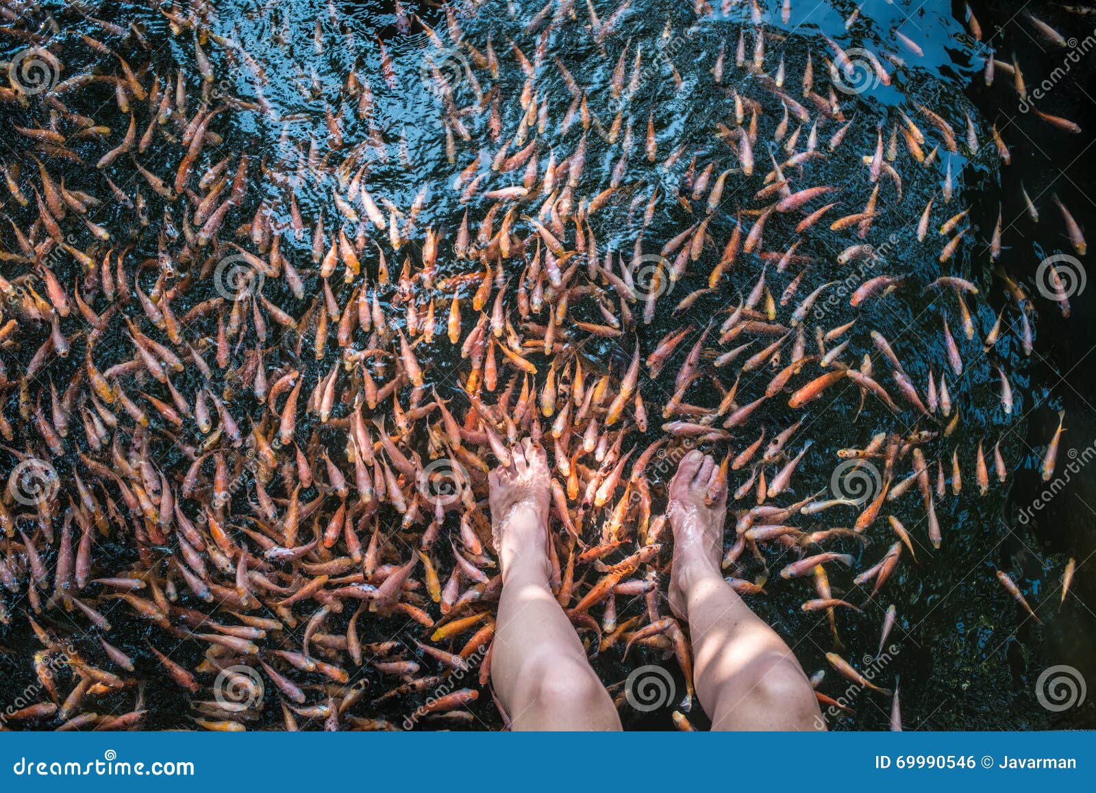 Natural Fish Spa Therapy and Foot Massage Stock Photo - Image of people ...