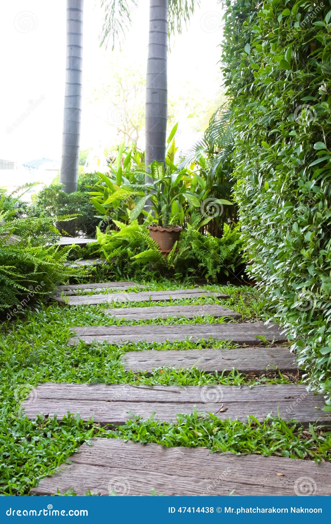 Flagstone Path In Grassy Lawn On Slope Stock Image | CartoonDealer.com ...