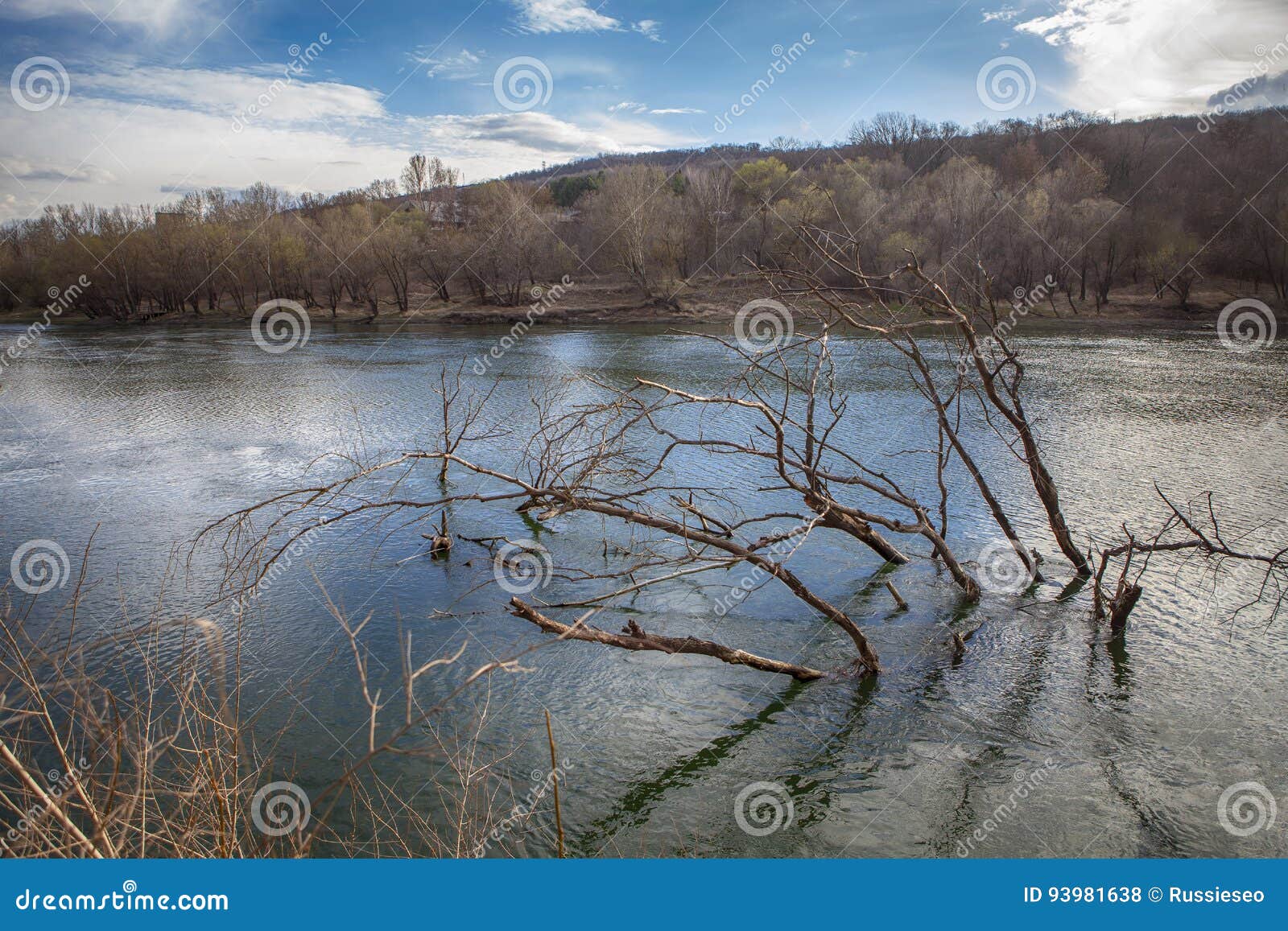 Natural flood scene stock photo. Image of lake, inundation - 93981638