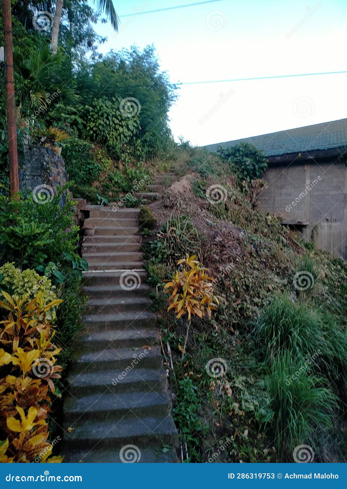 Natural Flower and Tree Steps Stock Image - Image of flowers, trees ...