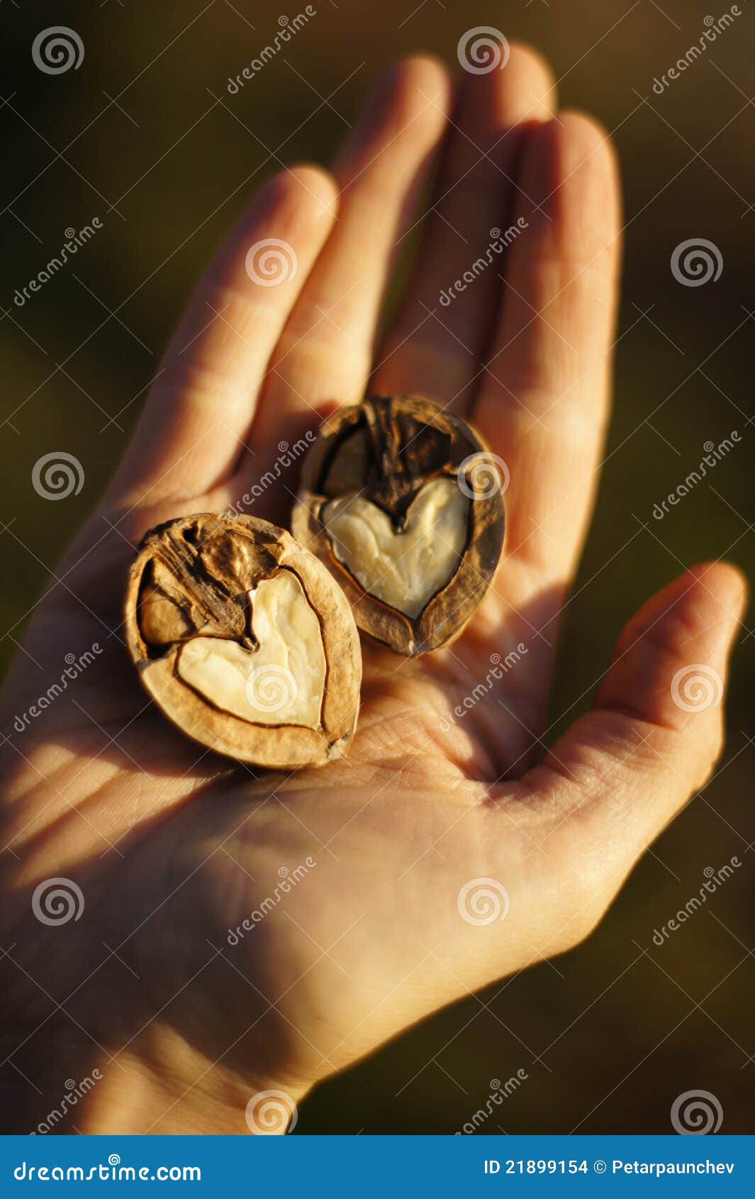 Hand Half Heart Sunset Stock Photos - Free & Royalty-Free Stock Photos ...