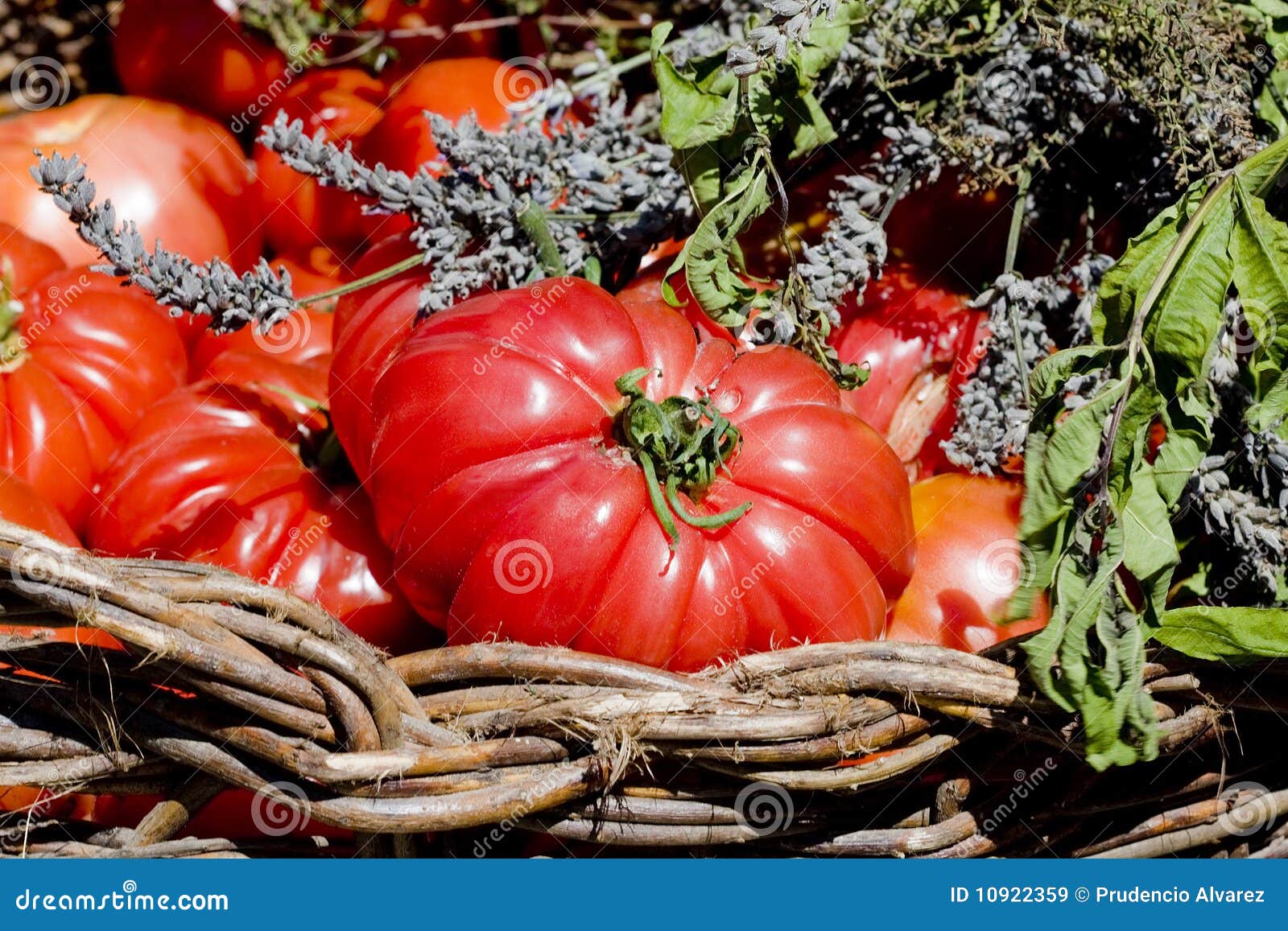 Natural food, tomatoes stock image. Image of fleshy, garden - 10922359