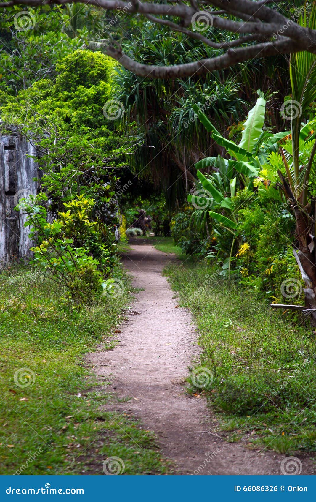 A Natural Footpath Made From Rocks And Gravels Photo Taken In Kebun ...