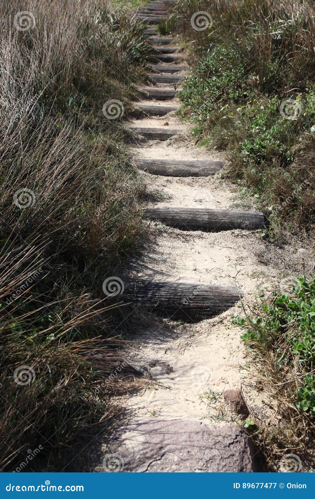 A Natural Footpath Made From Rocks And Gravels Photo Taken In Kebun ...