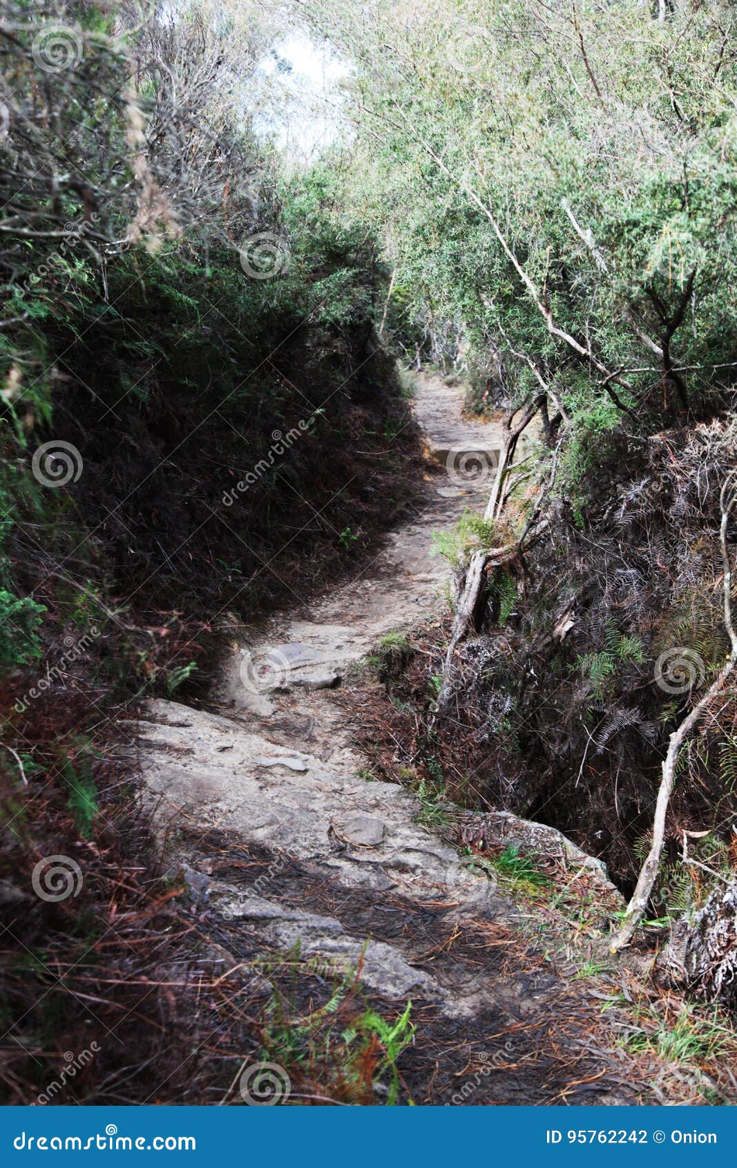 A Natural Footpath Made From Rocks And Gravels Photo Taken In Kebun ...