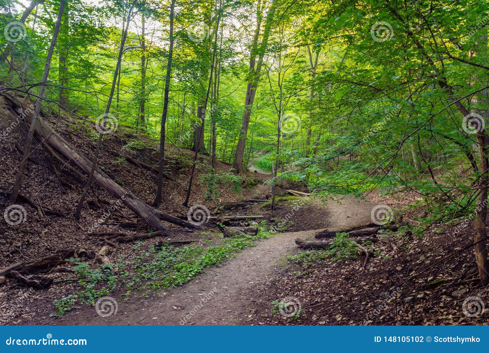 A Natural Footpath Made From Rocks And Gravels Photo Taken In Kebun ...