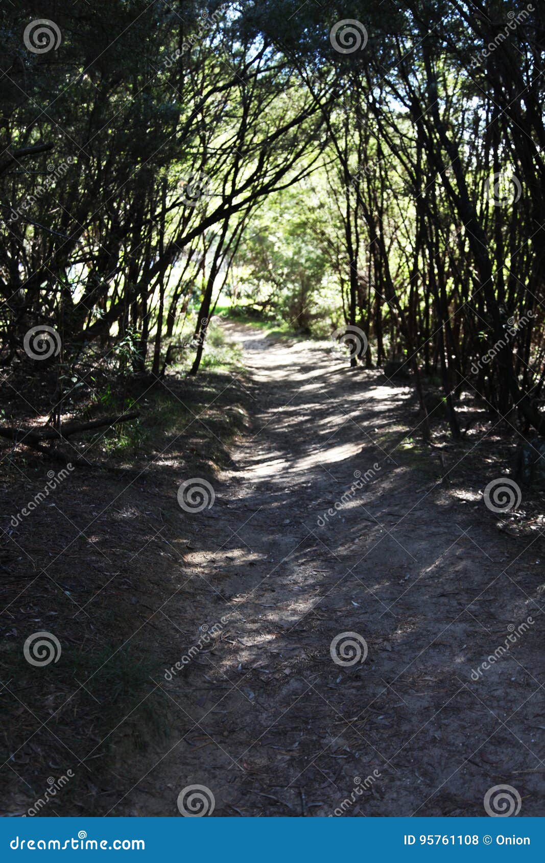 A Natural Footpath Made From Rocks And Gravels Photo Taken In Kebun ...