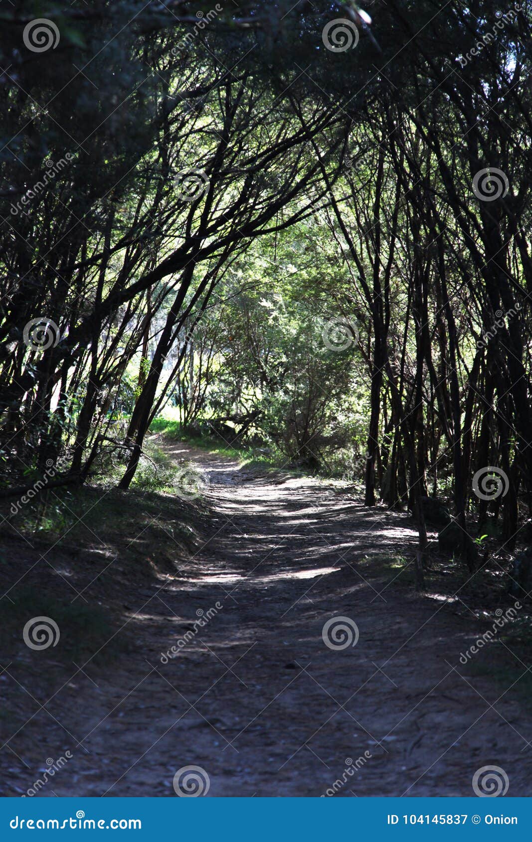 A Natural Footpath Made From Rocks And Gravels Photo Taken In Kebun ...