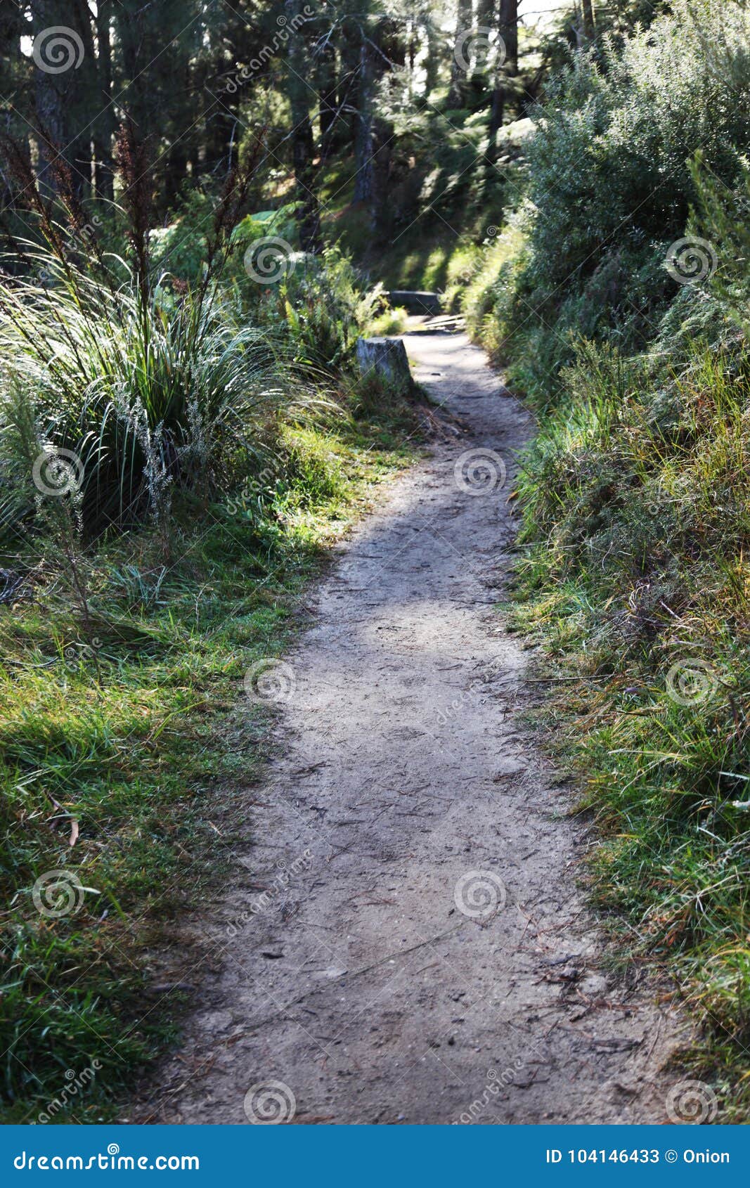 A Natural Footpath Made From Rocks And Gravels Photo Taken In Kebun ...