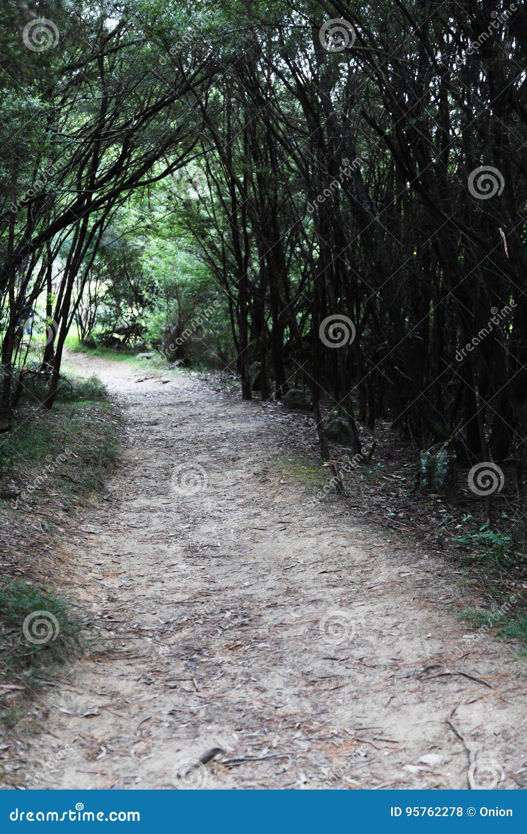 A Natural Footpath Made From Rocks And Gravels Photo Taken In Kebun ...