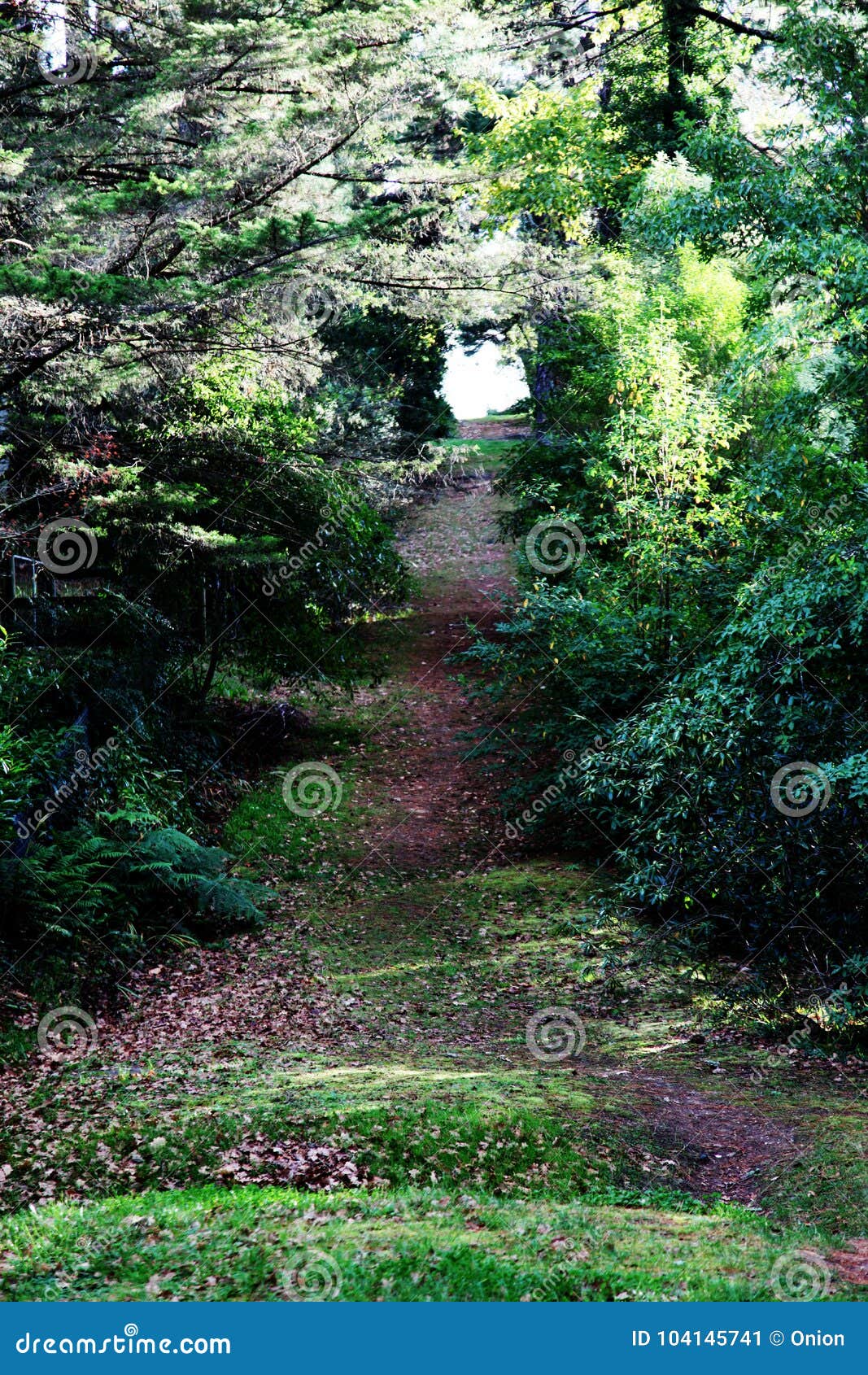 A Natural Footpath Made From Rocks And Gravels Photo Taken In Kebun ...