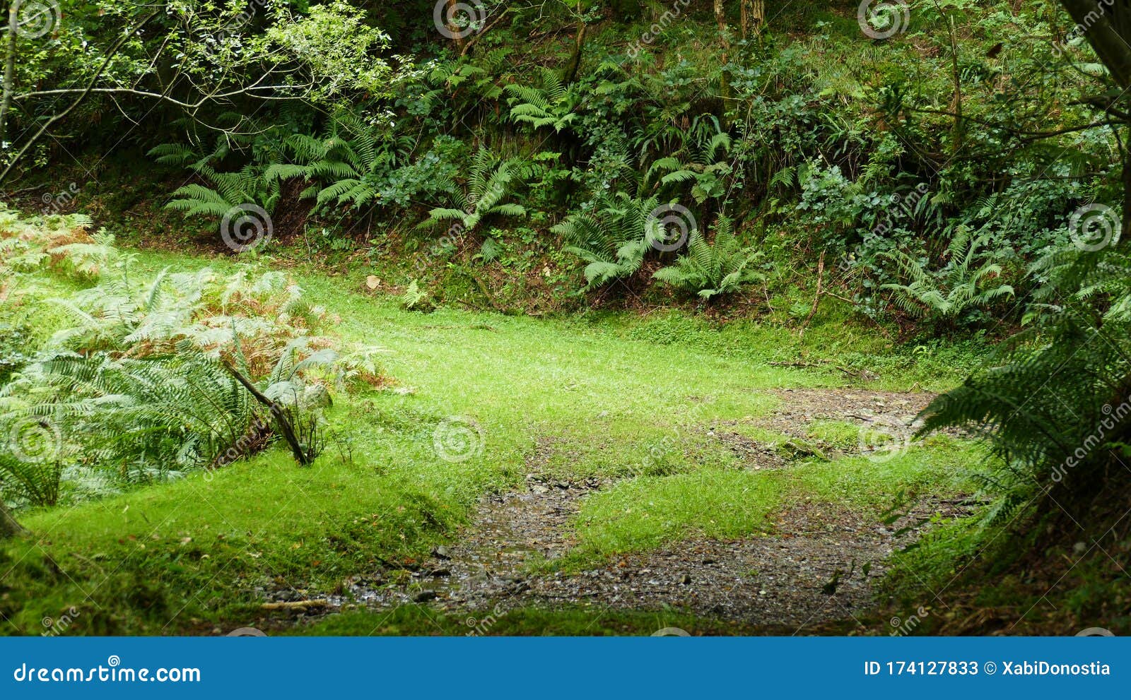 A Natural Footpath Made From Rocks And Gravels Photo Taken In Kebun ...