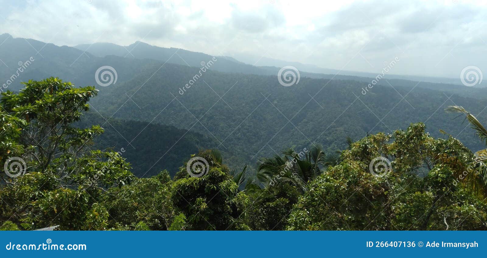 Natural Forest Hill Height Scenery Vegetation Stock Photo - Image of ...