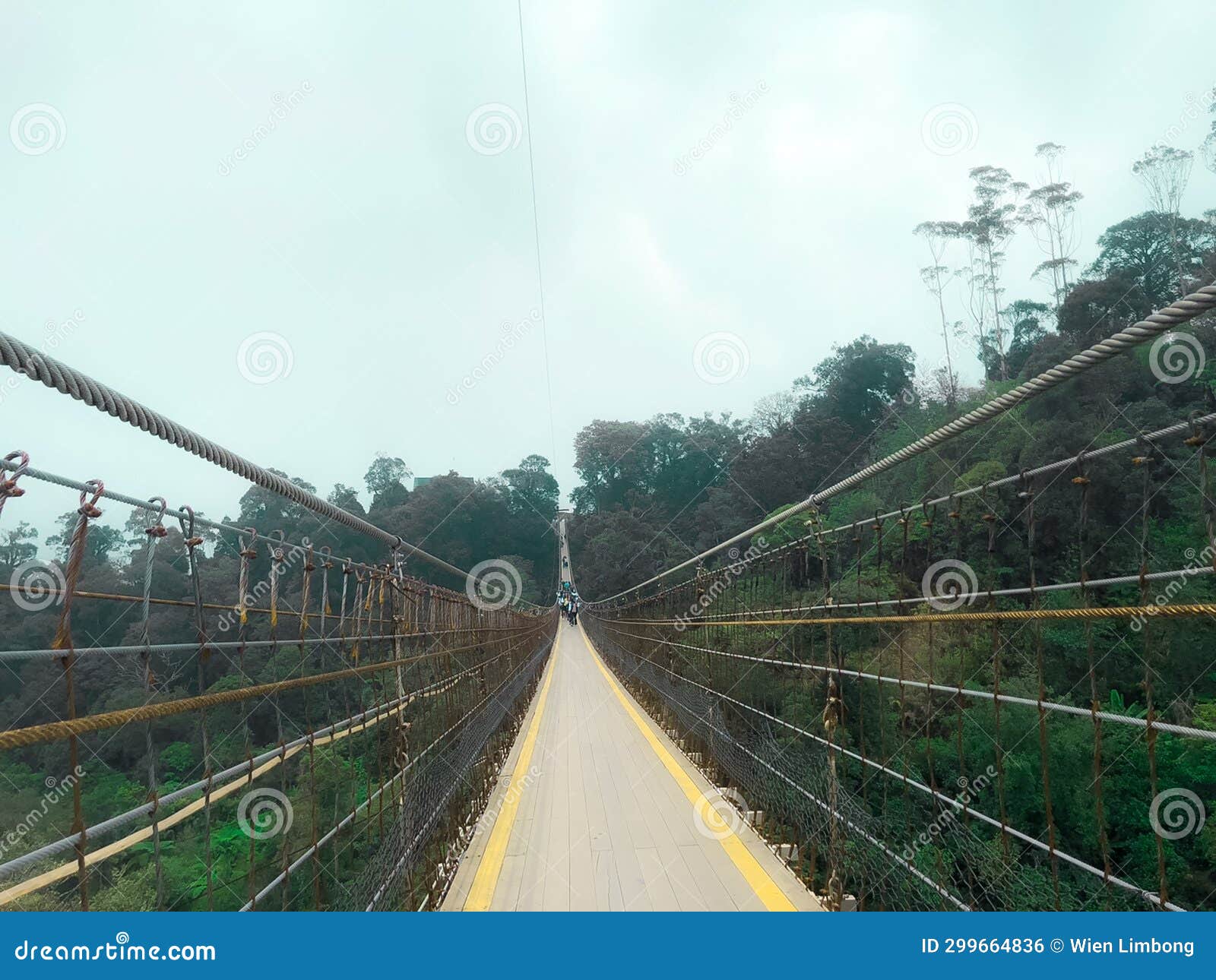 The Natural Forest Rengganis in Bandung, West Java, Indonesia Stock ...