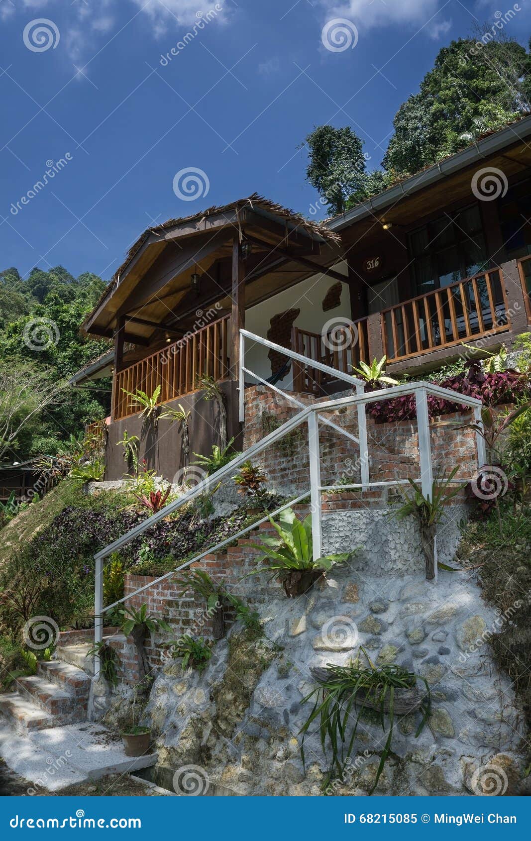 Natural Forest Resort stock image. Image of tropical - 68215085