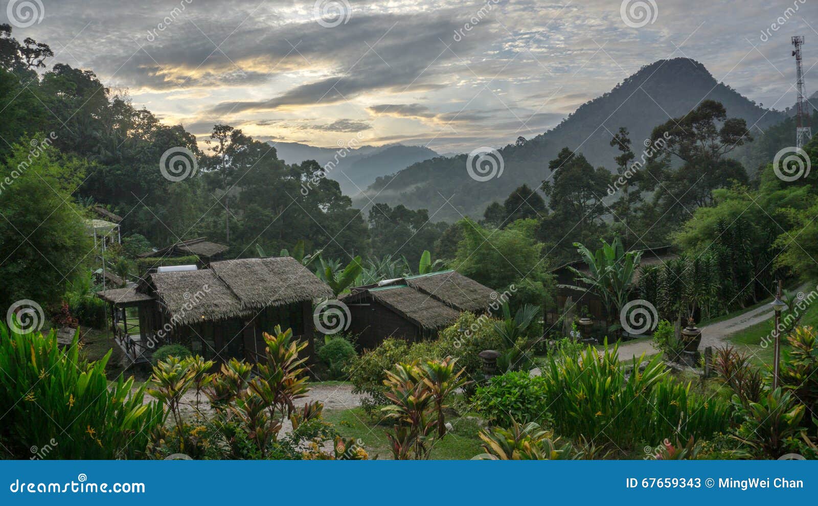 Natural Forest Resort stock image. Image of summer, environment - 67659343