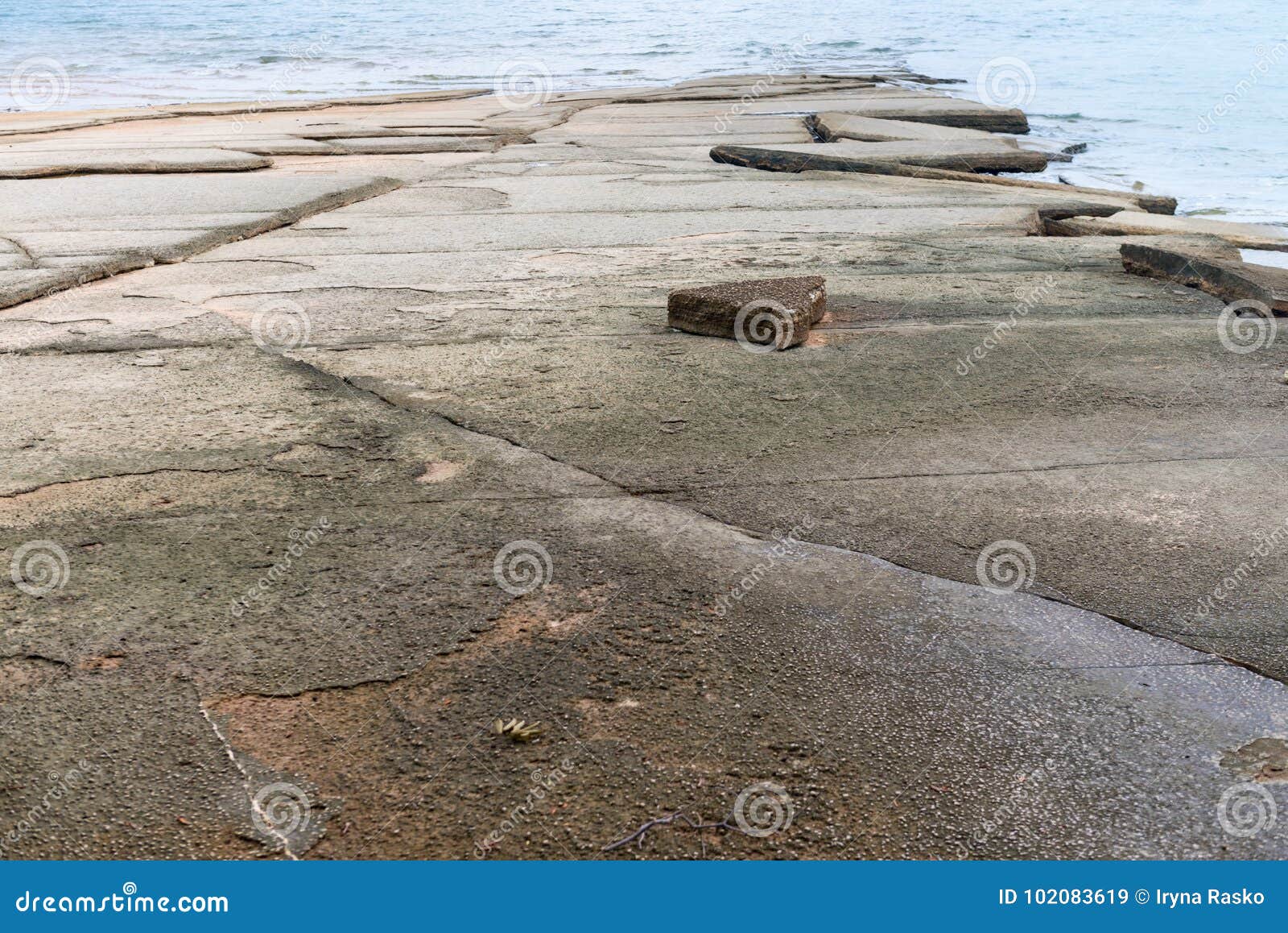 Natural Fossil Shell Beach or Seashell Graveyard Stock Image - Image of ...