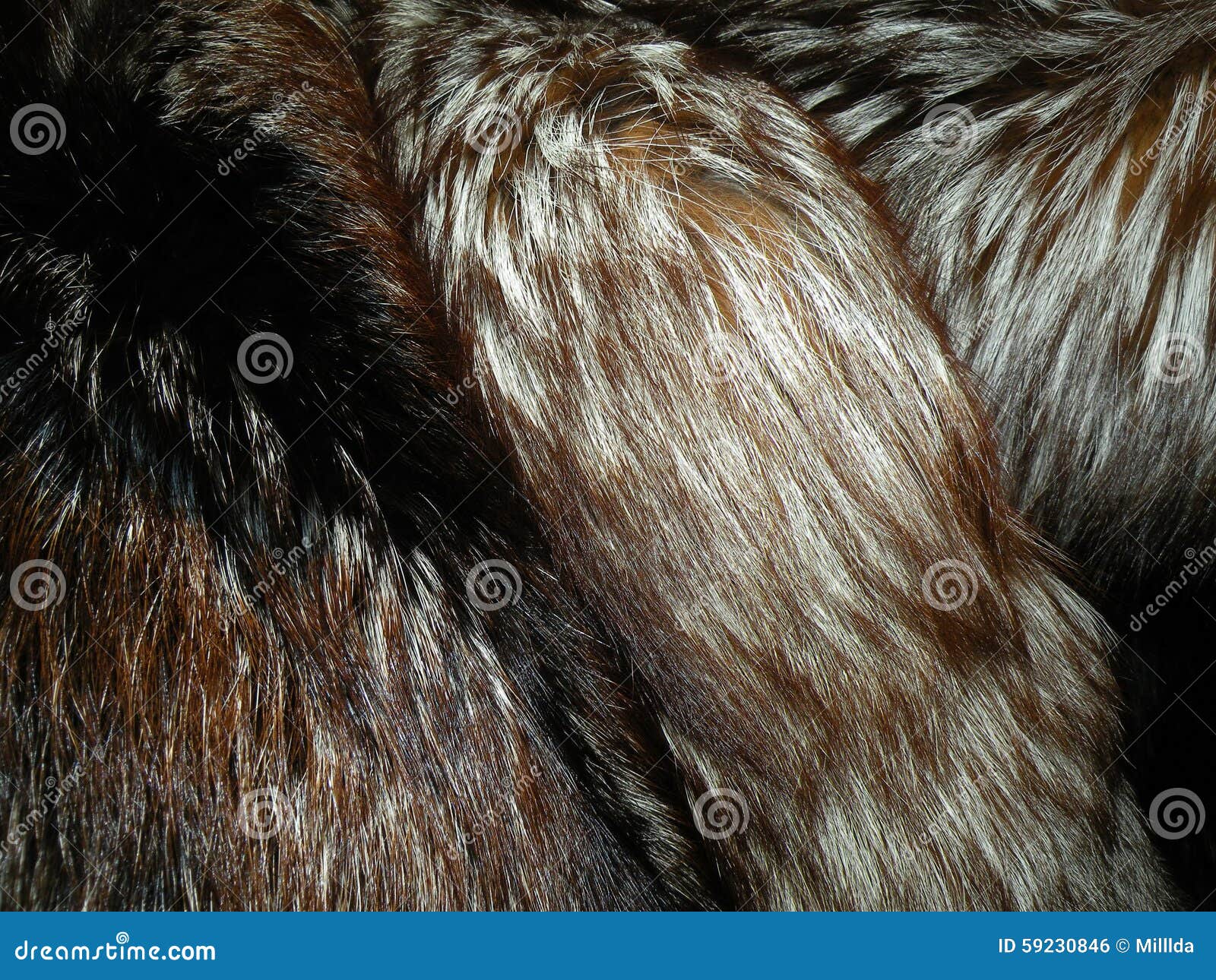 Natural fox fur stock photo. Image of clothing, hair - 59230846