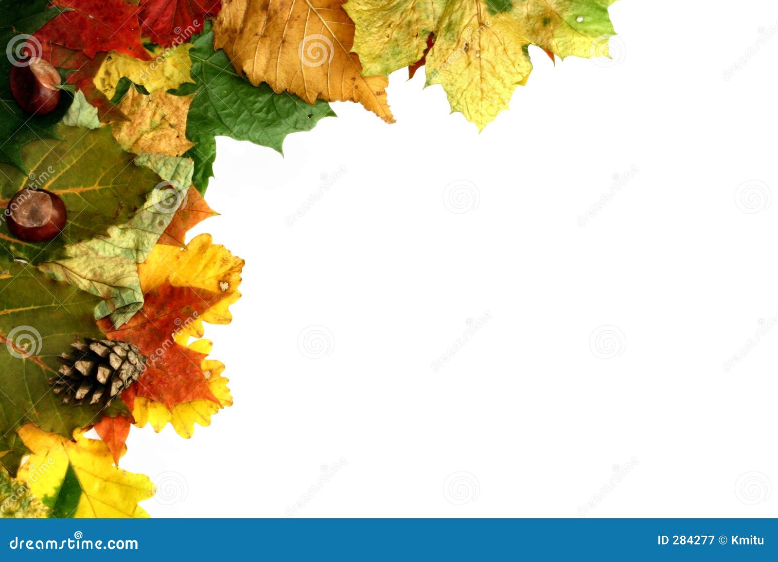 Natural Frame Forest Royalty-Free Stock Photography | CartoonDealer.com ...