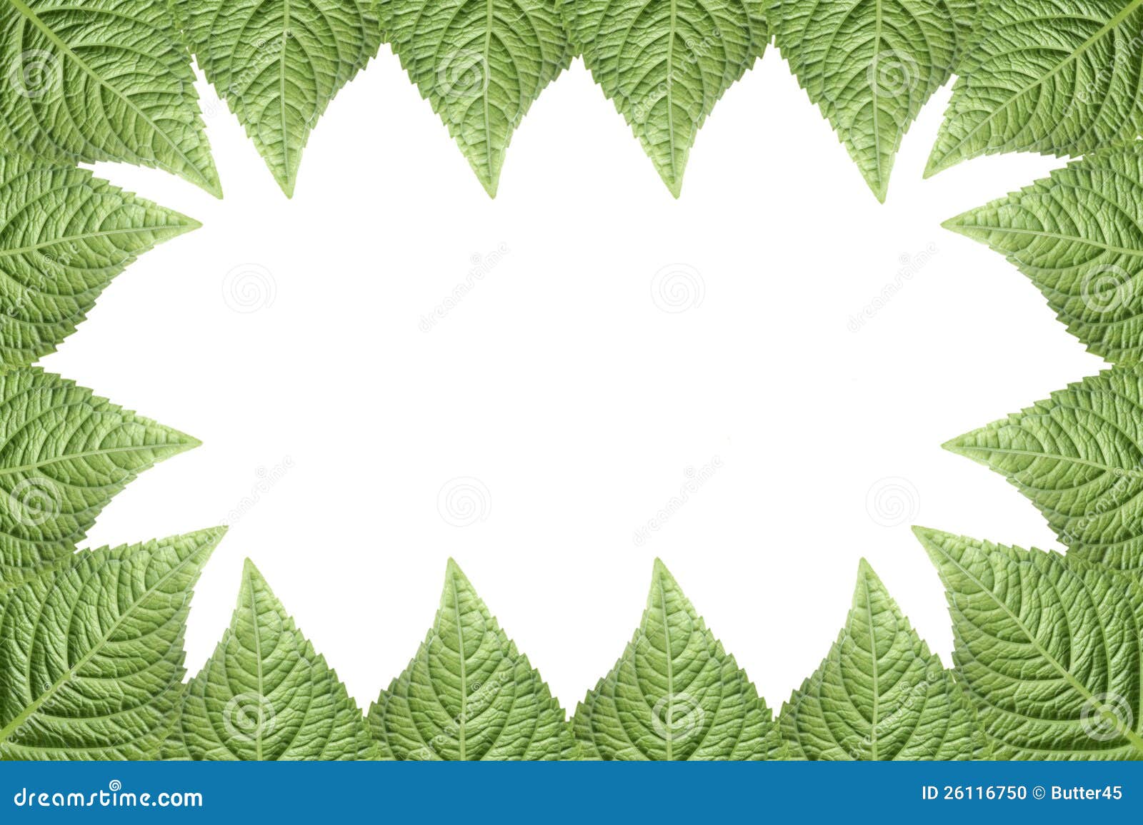 Natural frame stock photo. Image of background, autumn - 26116750