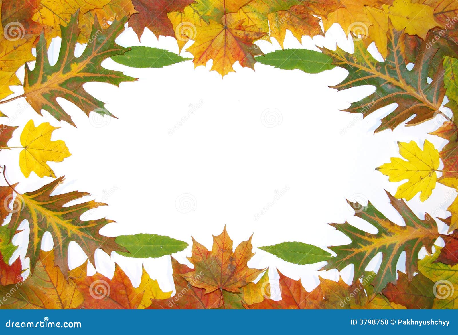 Natural frame stock photo. Image of autumn, abstraction - 3798750