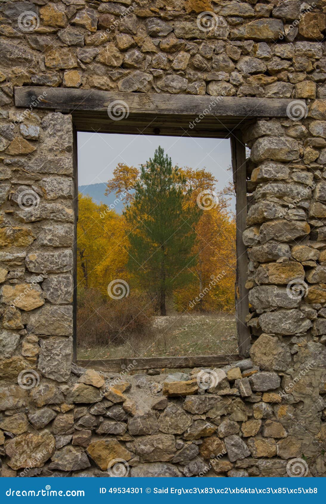 Natural Frame stock image. Image of window, forest, plant - 49534301