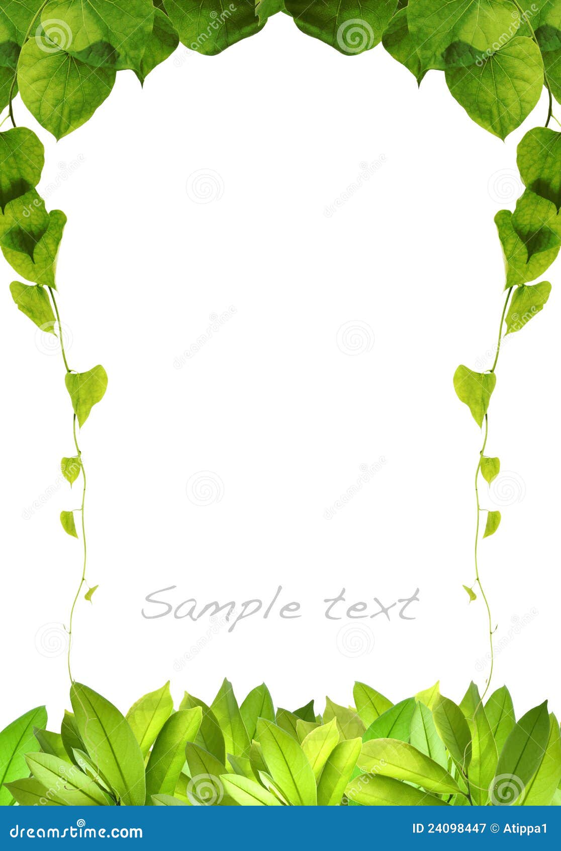 Natural fresh leaves frame stock image. Image of arrangement - 24098447
