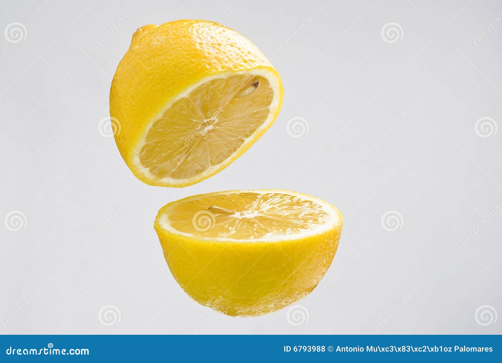 Natural fresh lemon cut stock photo. Image of lemon, harvesting - 6793988