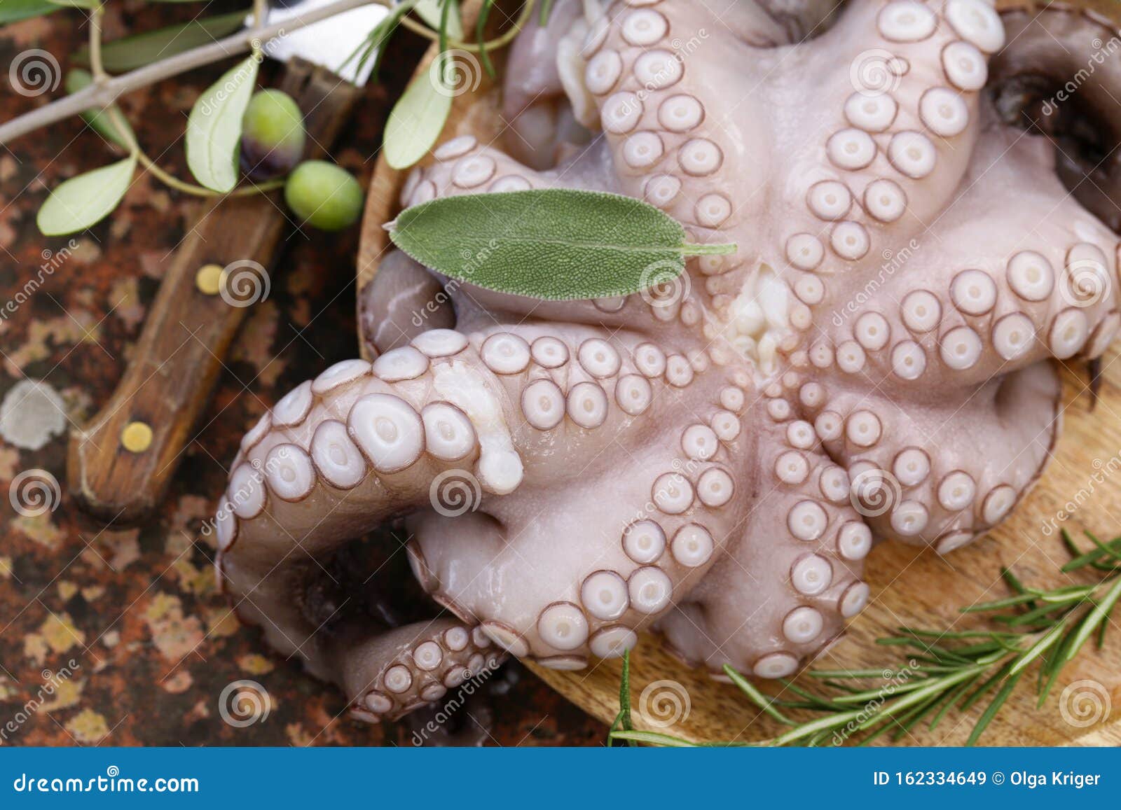 Natural fresh octopus stock image. Image of prepared - 162334649