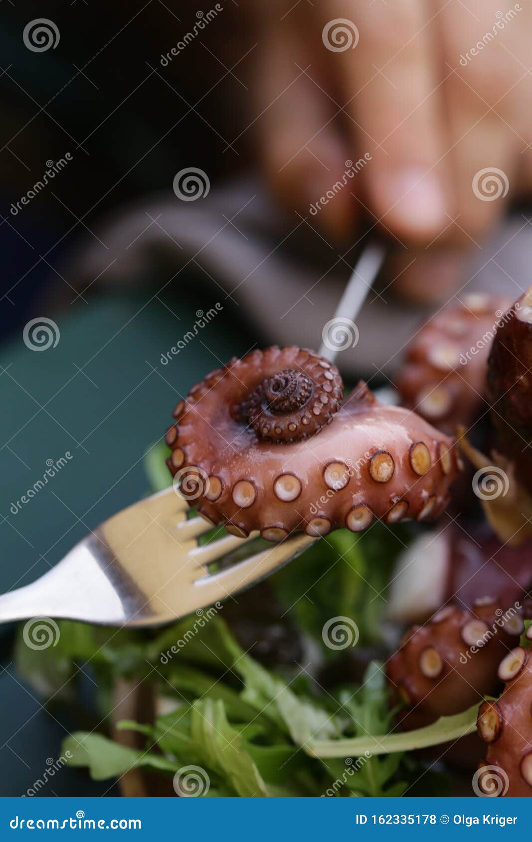 Natural fresh octopus stock photo. Image of gourmet - 162335178