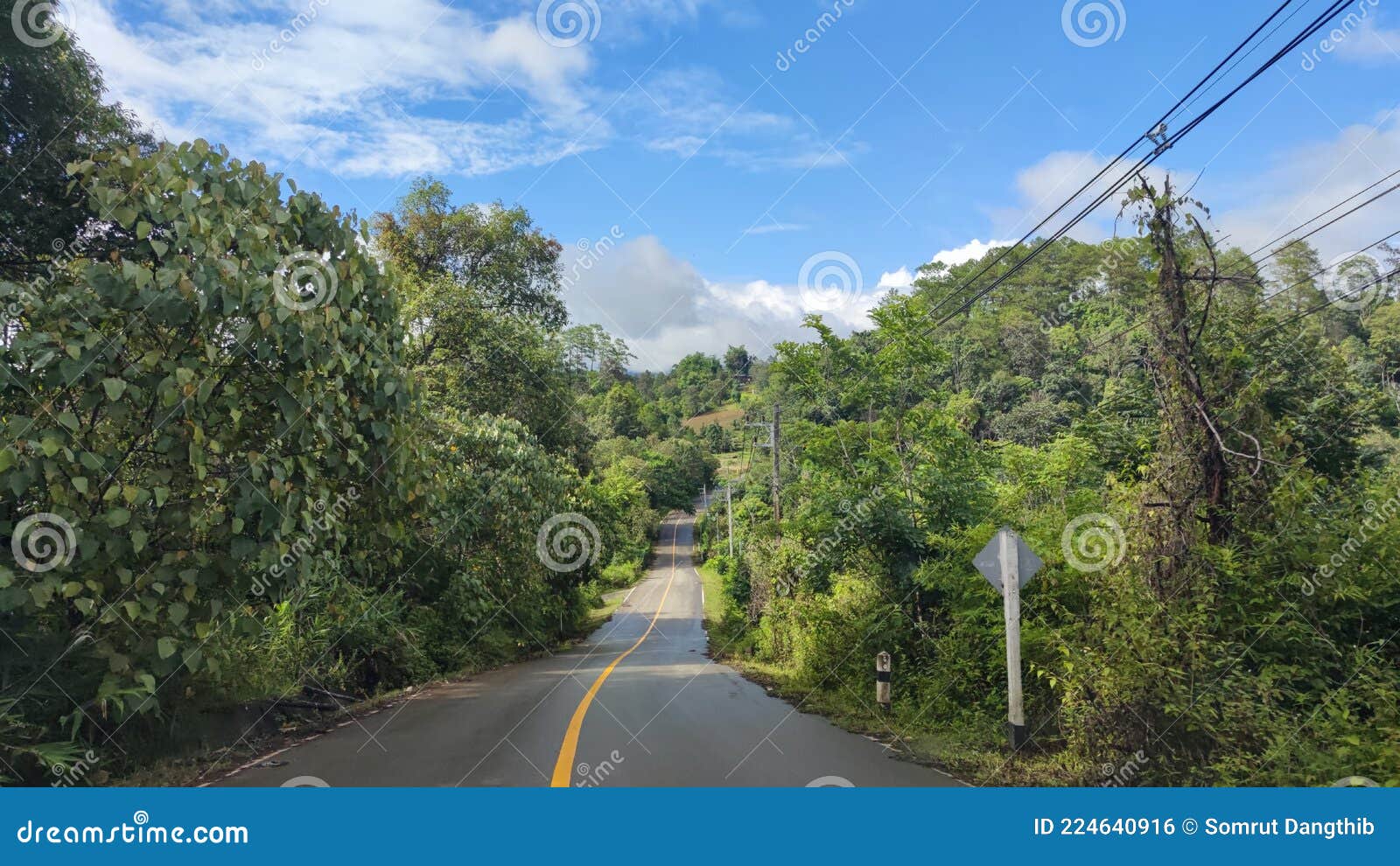 On a Natural Fresh Road Surround by Green Trees Stock Photo - Image of ...