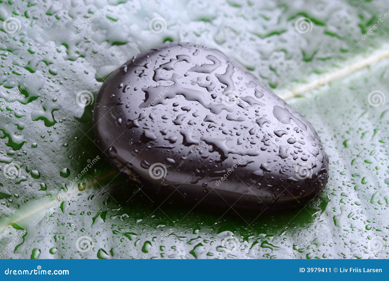 Natural freshness stock image. Image of drops, pampering - 3979411