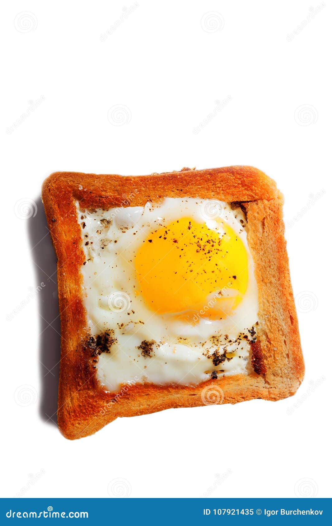 Natural Fried Egg in Bread Crust Stock Image - Image of close ...